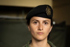 Les Armes (2024-auj.) - Série (Série annuelle)